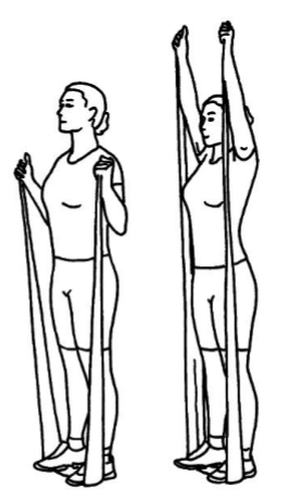 Axelträning med Flexband/Träningsband | Actifys